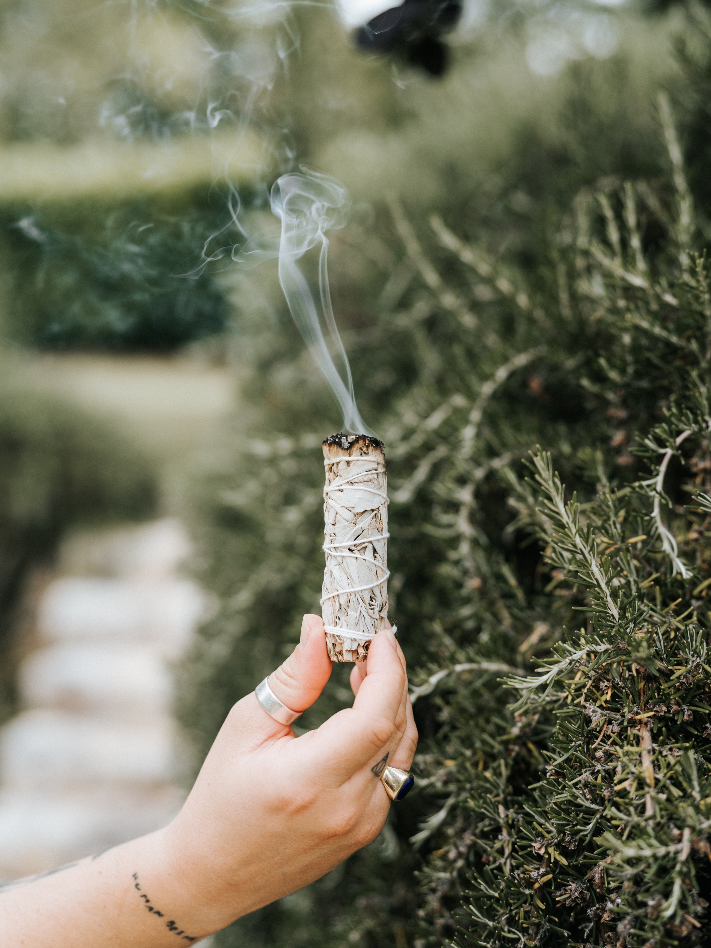 Premium Palo Santo – heymindful